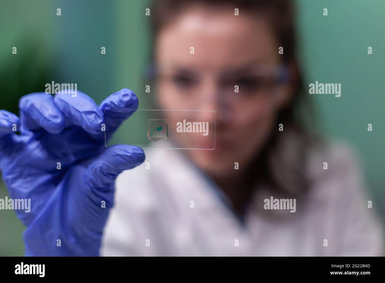 Sample of leaf hi-res stock photography and images - Alamy