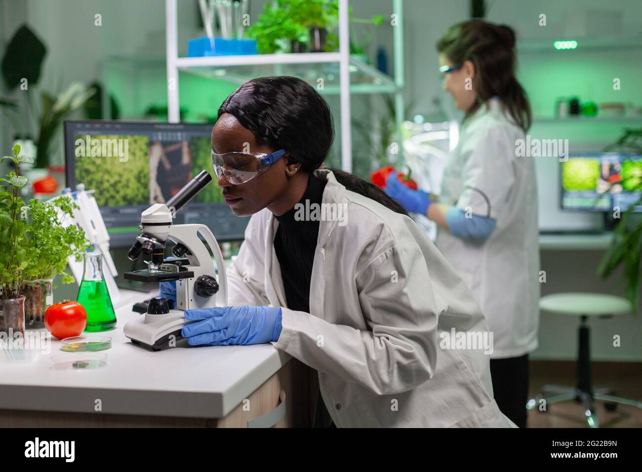 Biologist researcher examining organic leaf slide for medical expertise ...