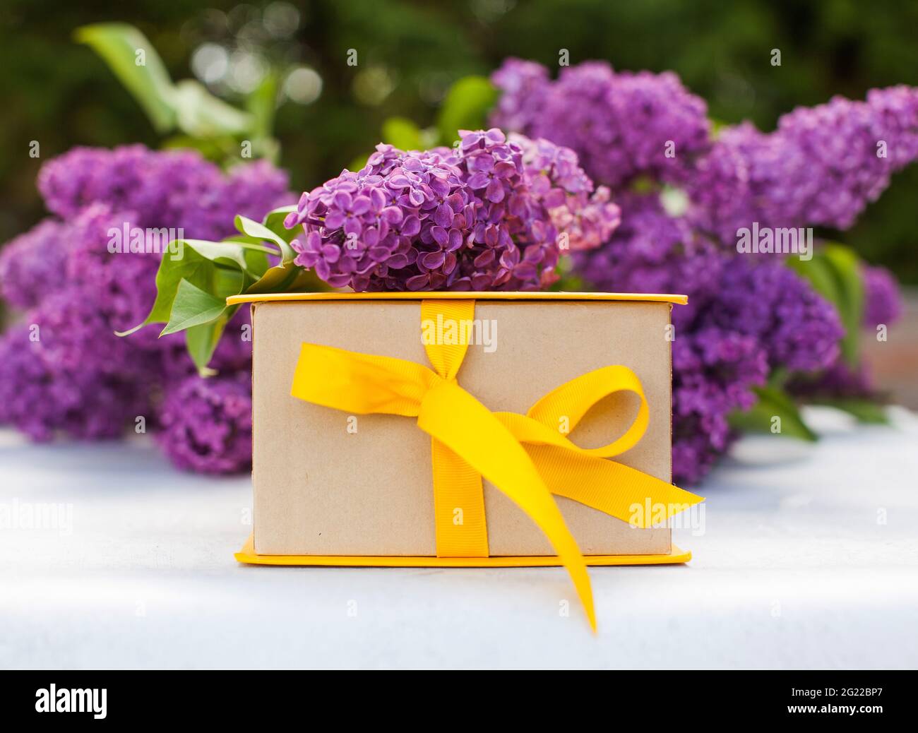 Gift box with yellow ribbon and lilac bouquets. A greeting card Stock ...