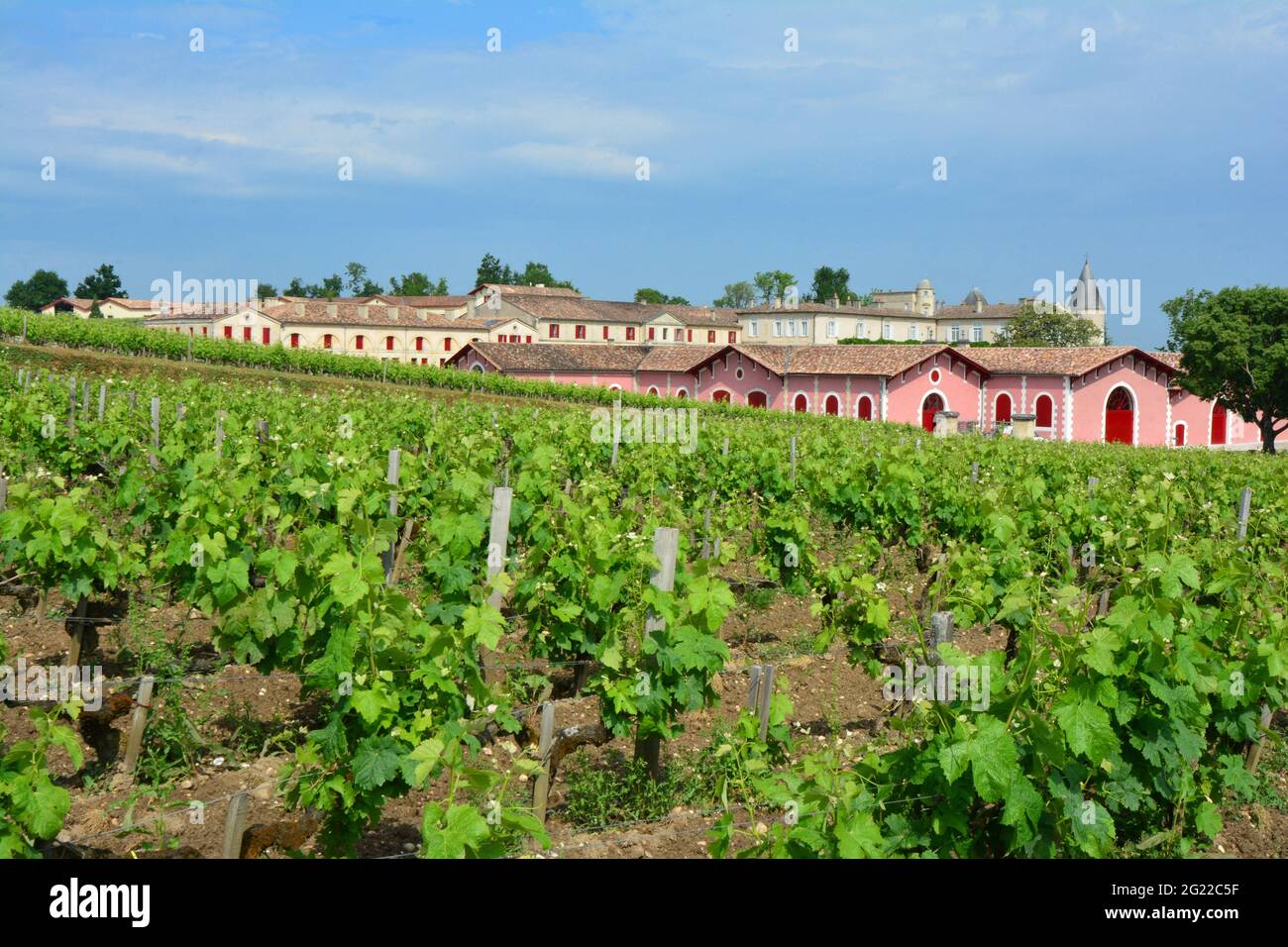 FRANCE. NOUVELLE-AQUITAINE. GIRONDE (33). PAUILLAC. THE CHATEAU LAFITE ...