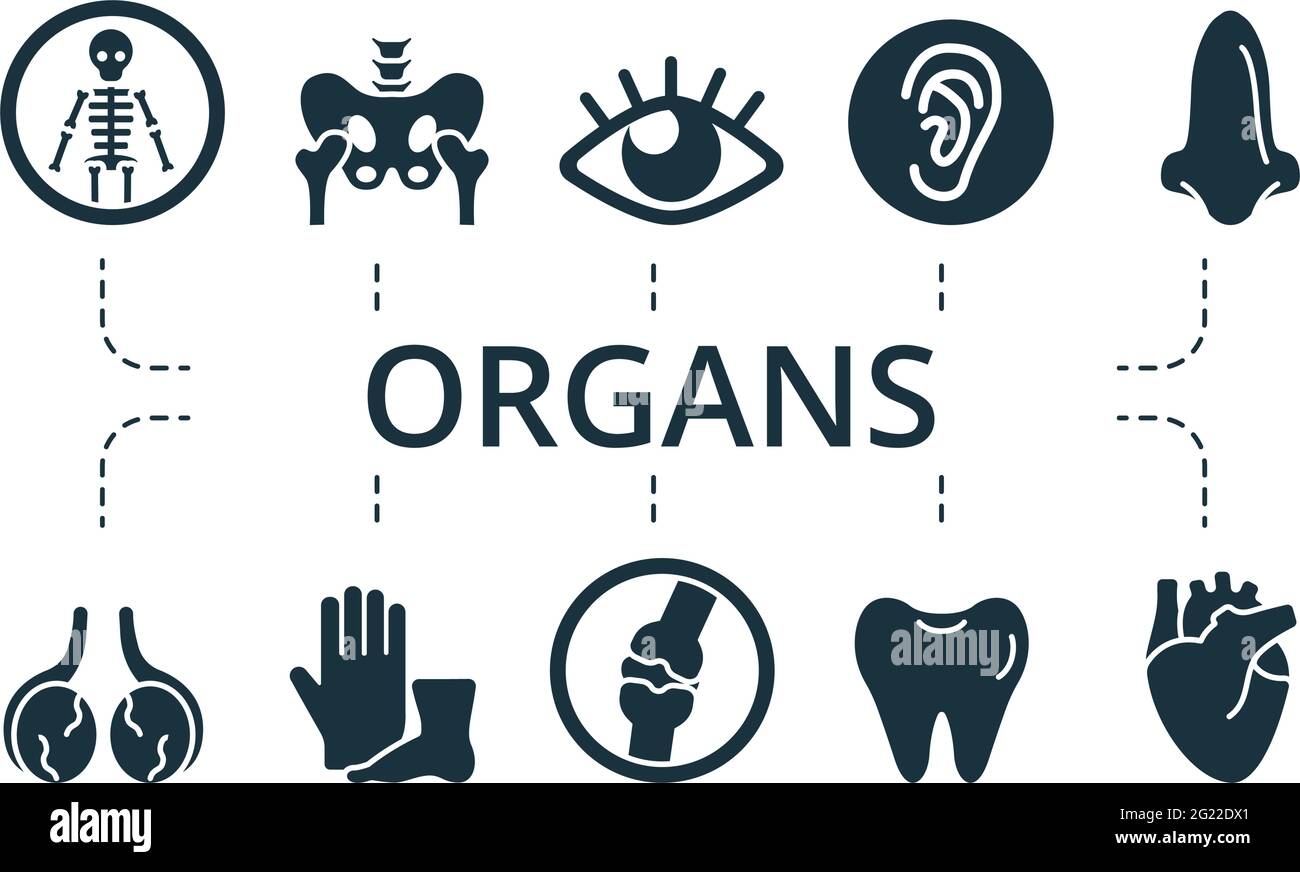 Organs icon set. Contains editable icons theme such as joint, ear ...