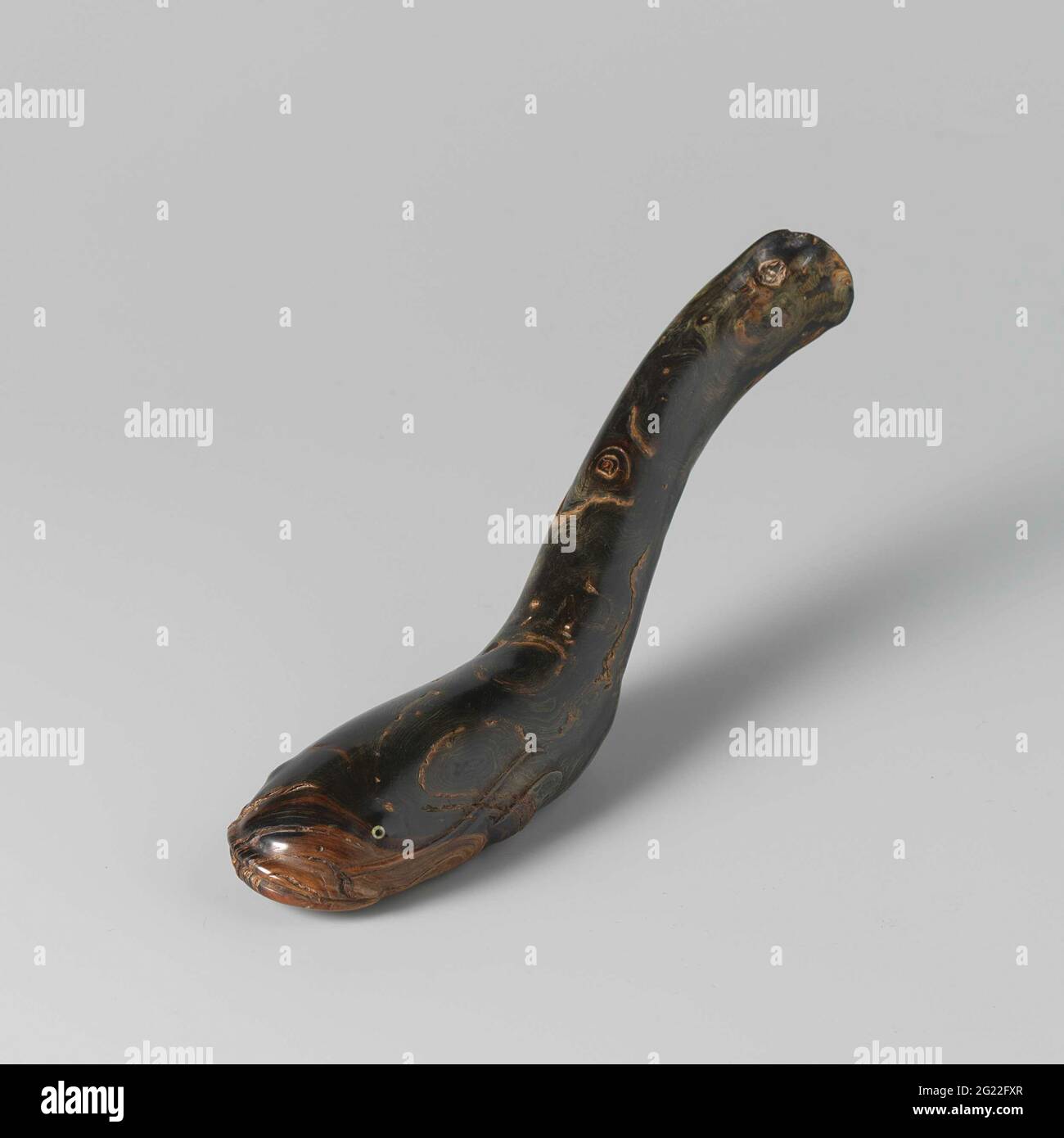 Fish. A fish with a wide, flat beak and a long mustache. An inscription ...