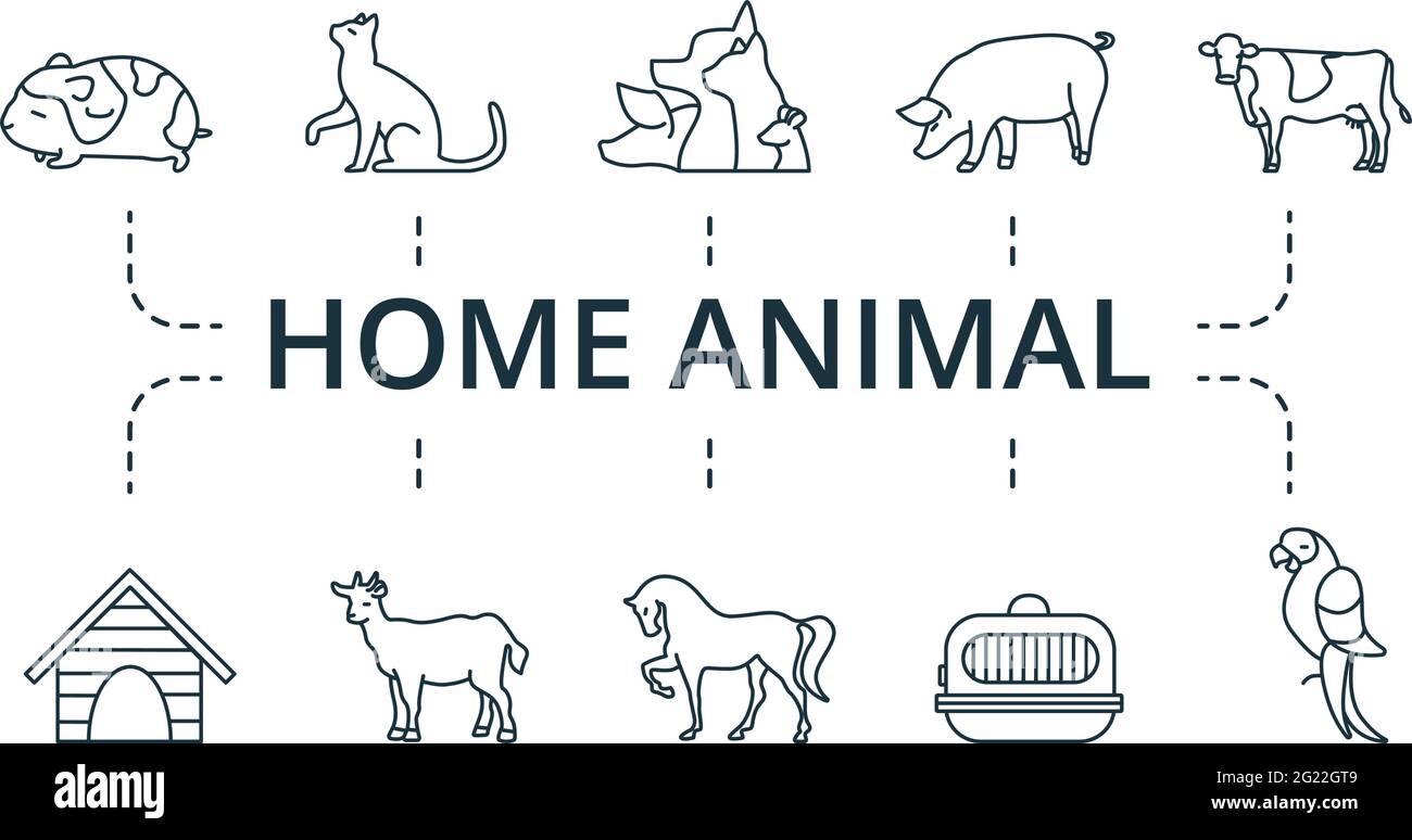 Home Animal icon set. Contains editable icons theme such as rabbit ...