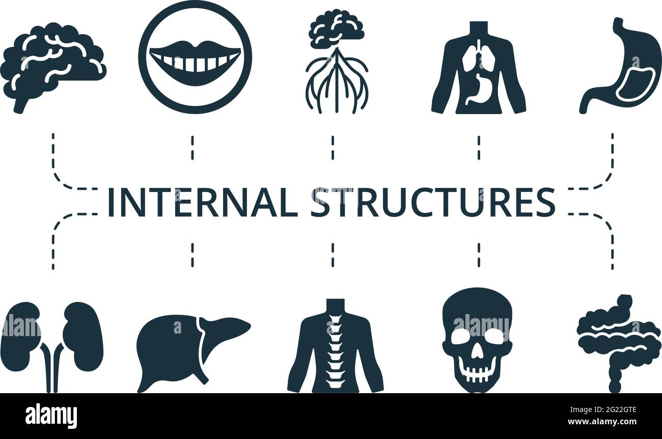 Internal Structures icon set. Contains editable icons theme such as ...