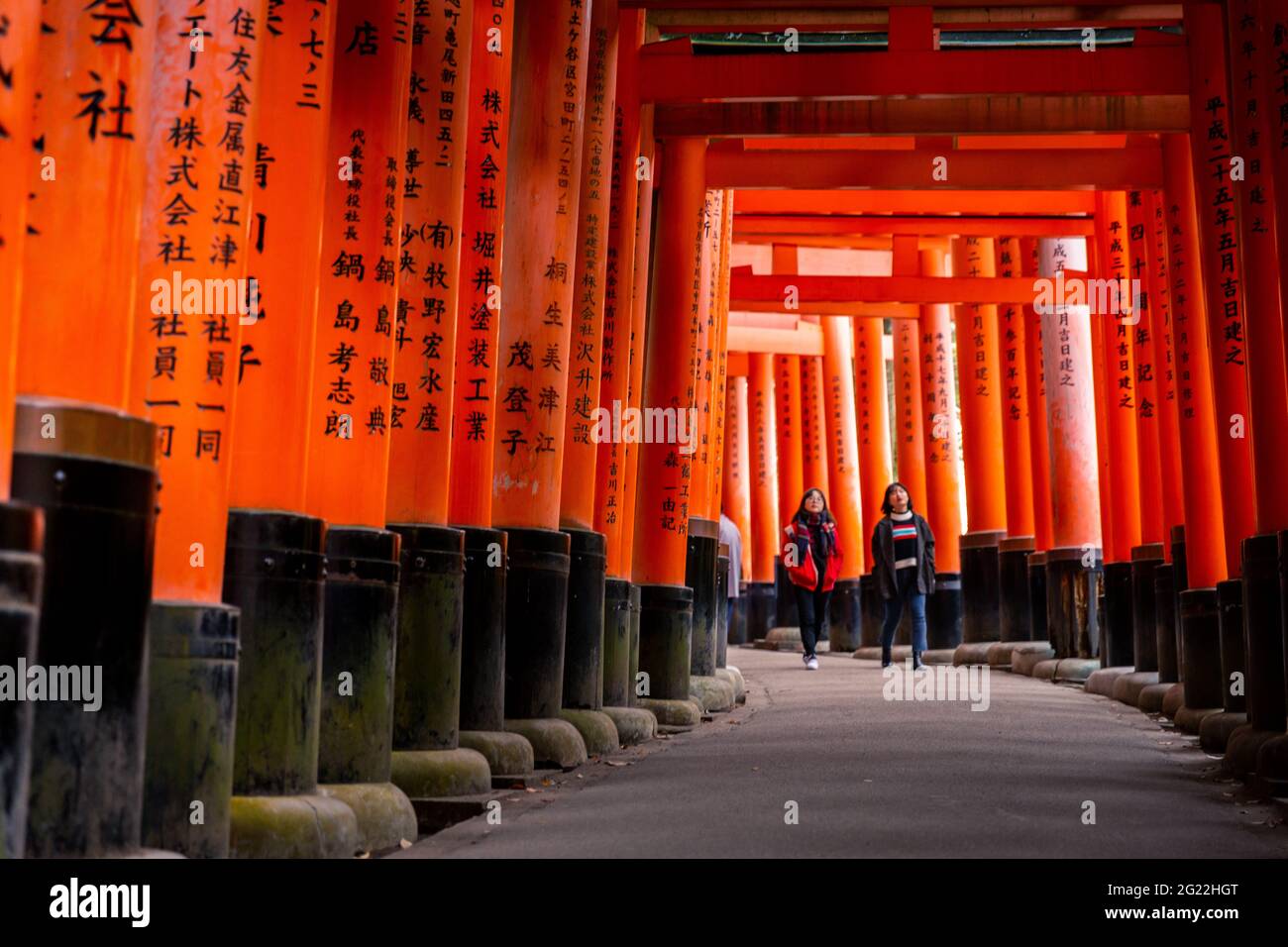 Kyoto, Japan - November 21, 2018: Young women asian tourist walking on ...