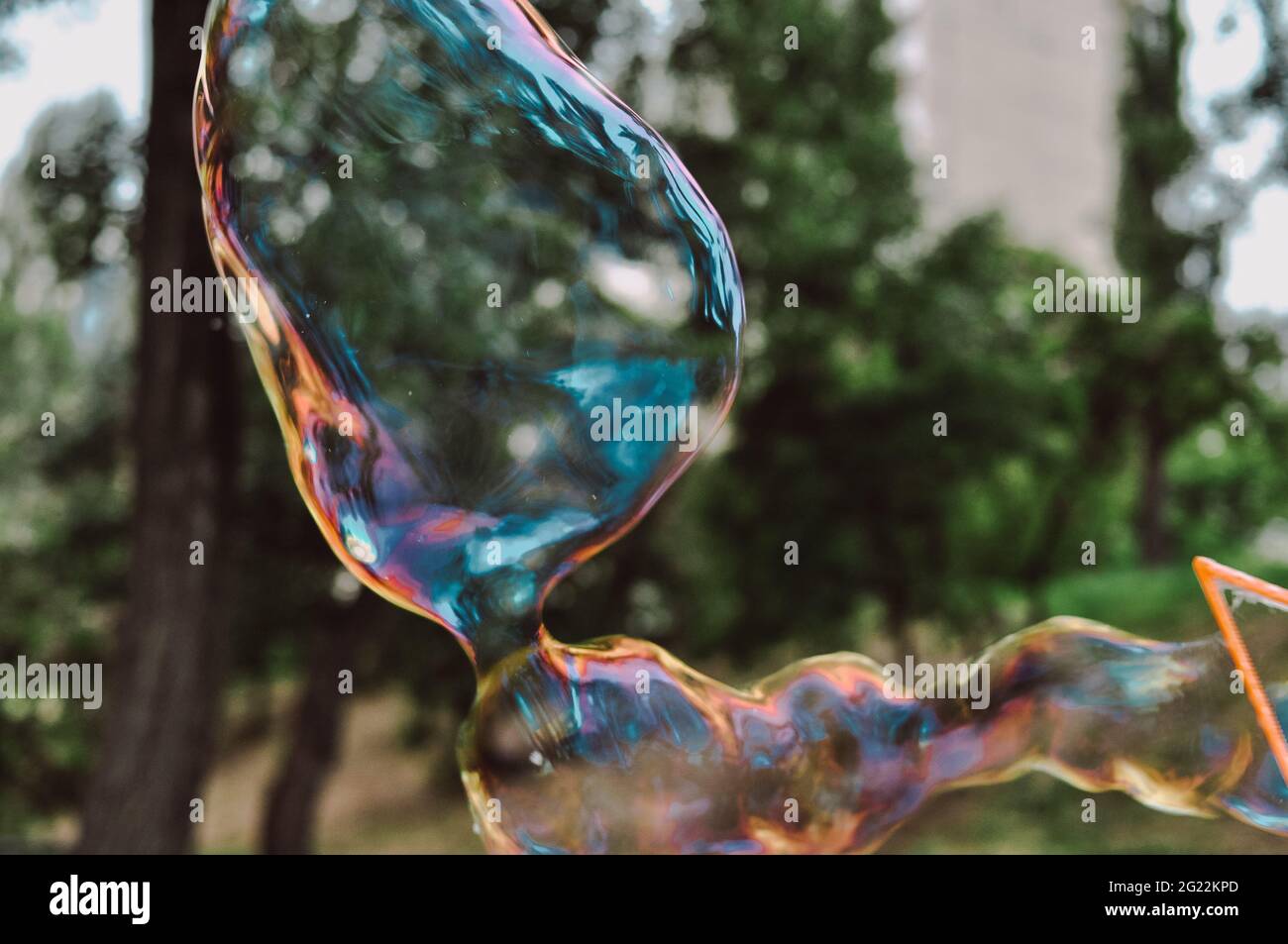 Big soap bubbles in the forest in summer copy space, background Stock Photo - Alamy