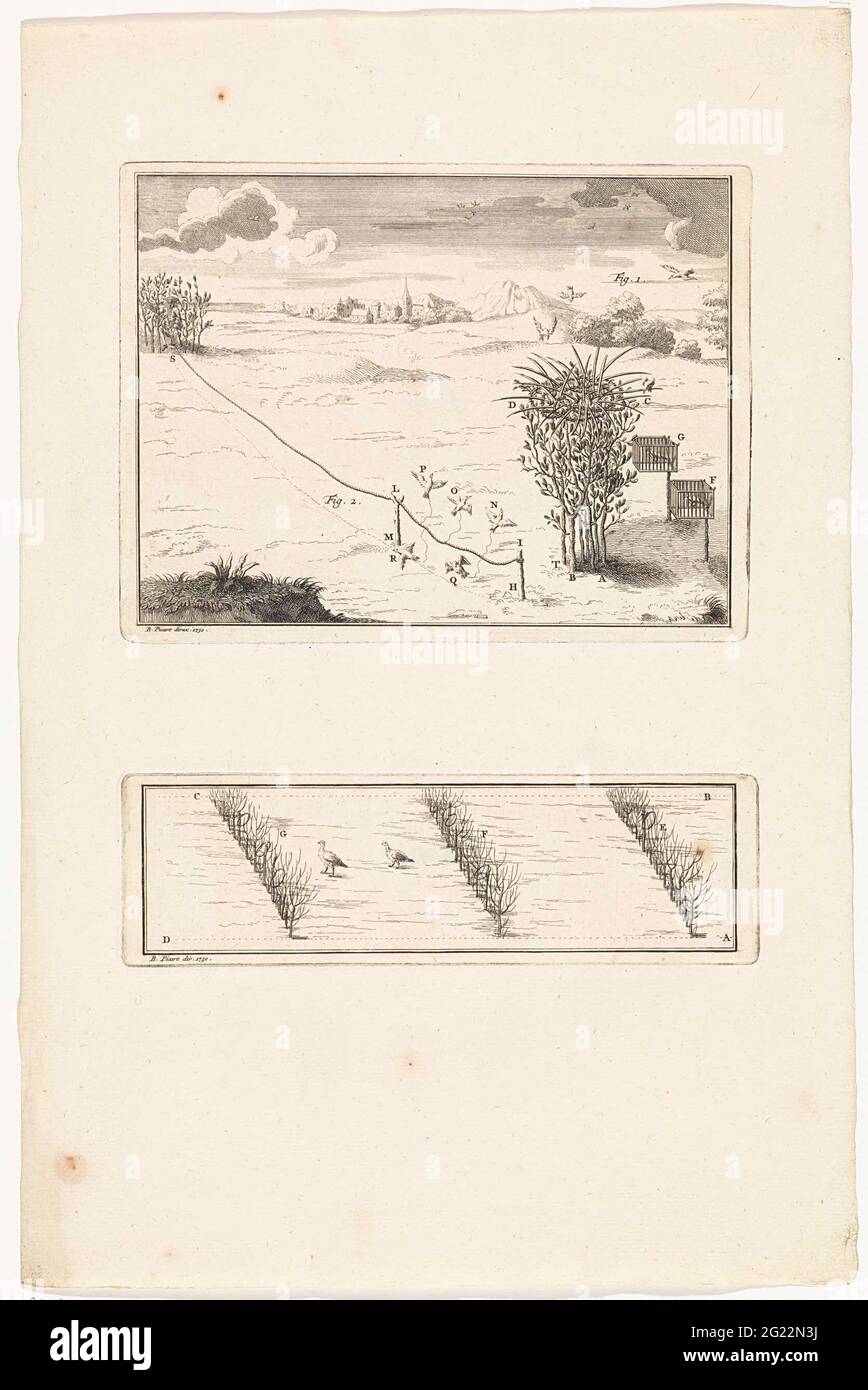 Different bird trails. Two performances on a leaf. Above: landscape ...