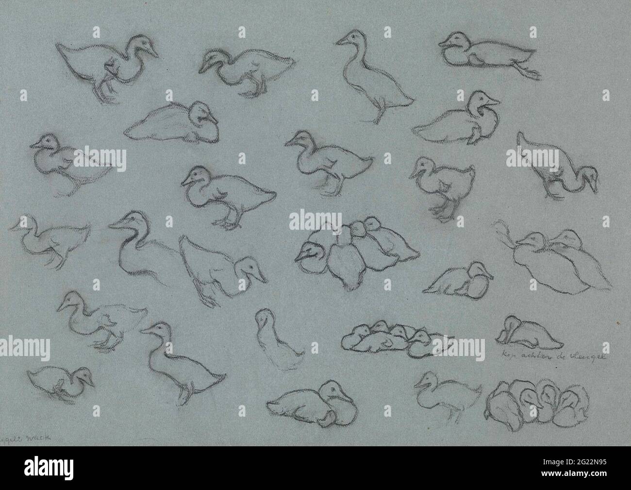 Study sheet with ducks Stock Photo - Alamy