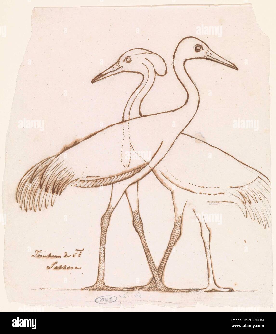 Egyptian relief sculpture: two cranes Stock Photo - Alamy