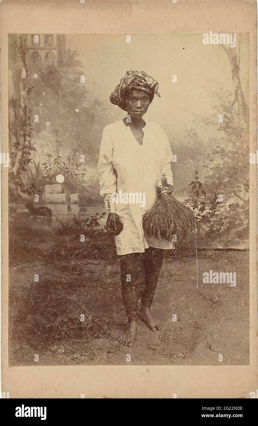 Rice paddi hi-res stock photography and images - Alamy