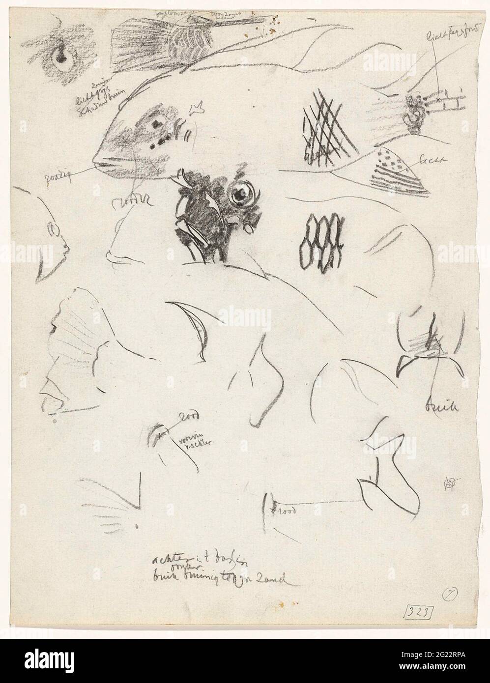 Detailed study marine species hi-res stock photography and images - Alamy