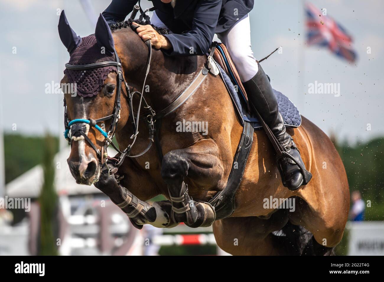 Horse Jumping, Equestrian Sports, Show Jumping event themed photograph ...