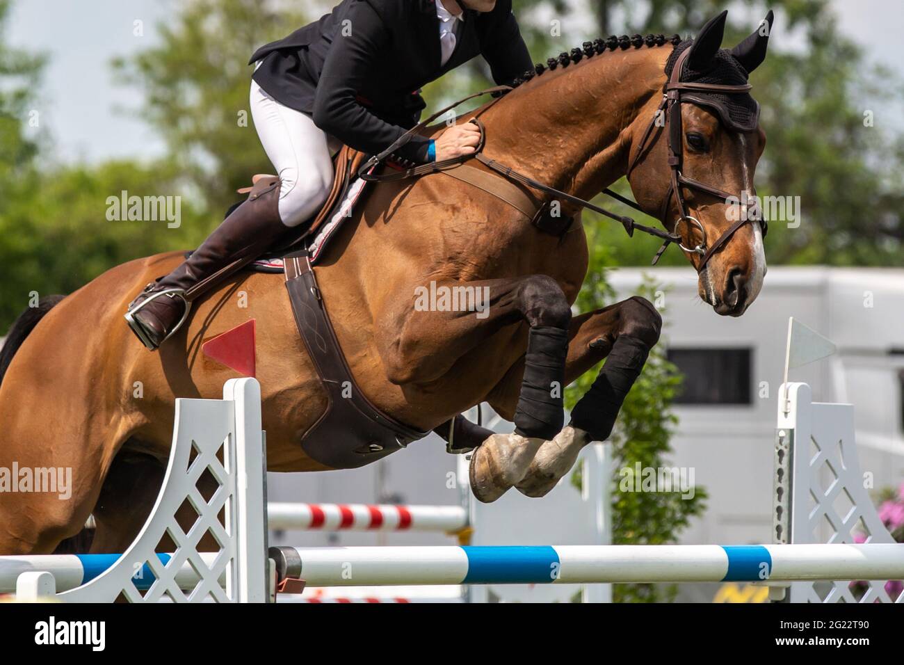 Horse Jumping, Equestrian Sports, Show Jumping event themed photograph ...