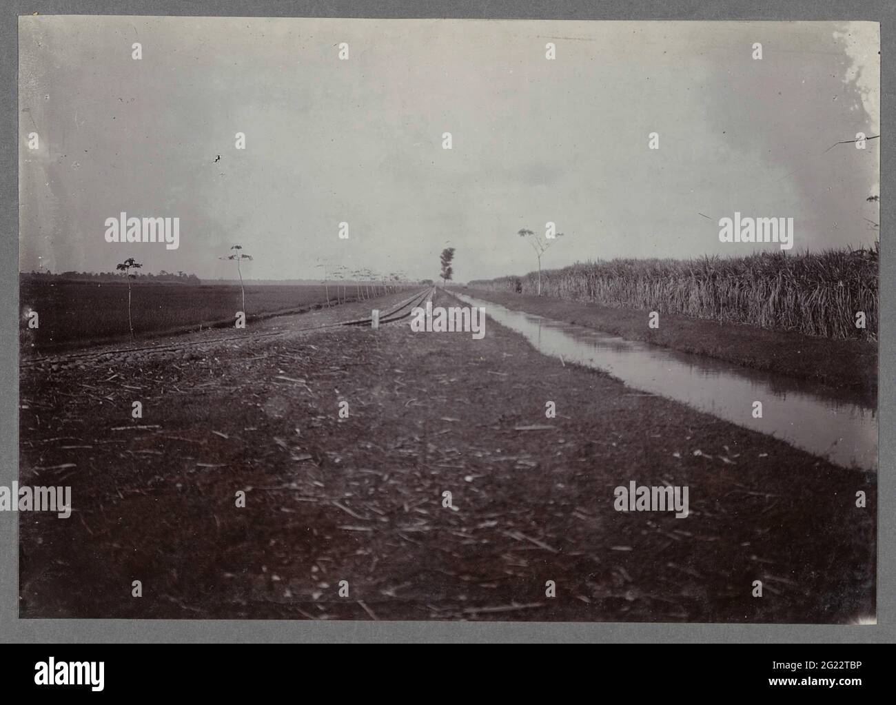 Early 1900s sugar cane industry hi-res stock photography and images - Alamy