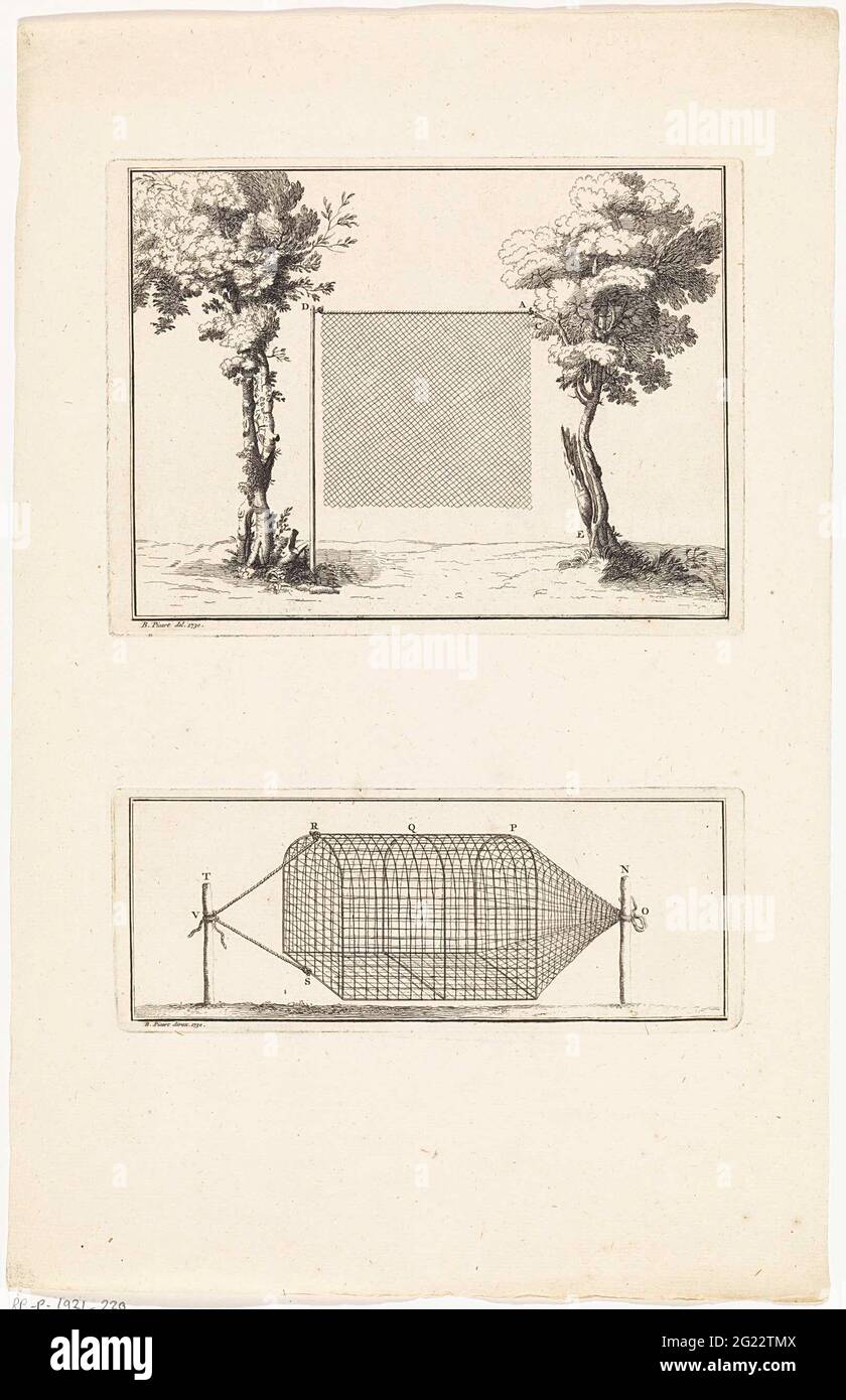 Just between two trees and animal trap. Two performances on a leaf ...