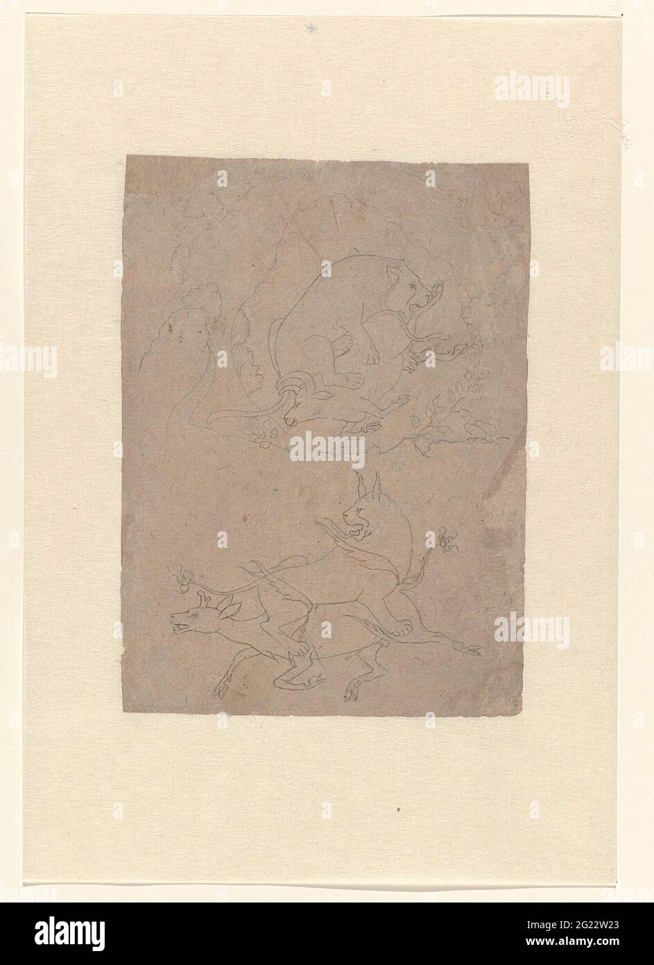 Fighting animals. Two sketches of martial animals, at the top of a lion ...