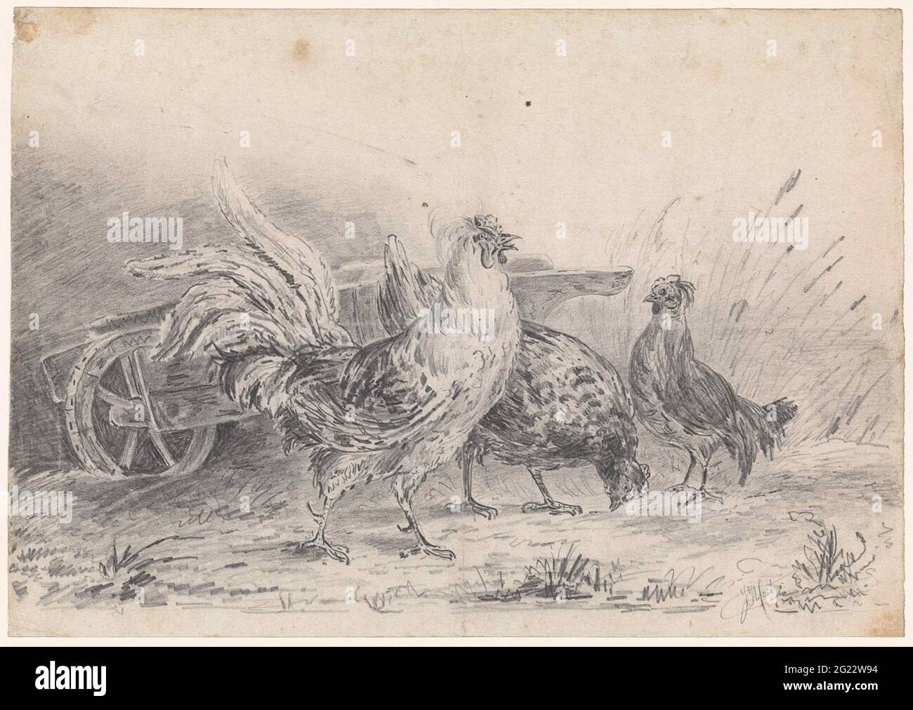 Rooster with two chickens at a wheelbarrow Stock Photo - Alamy