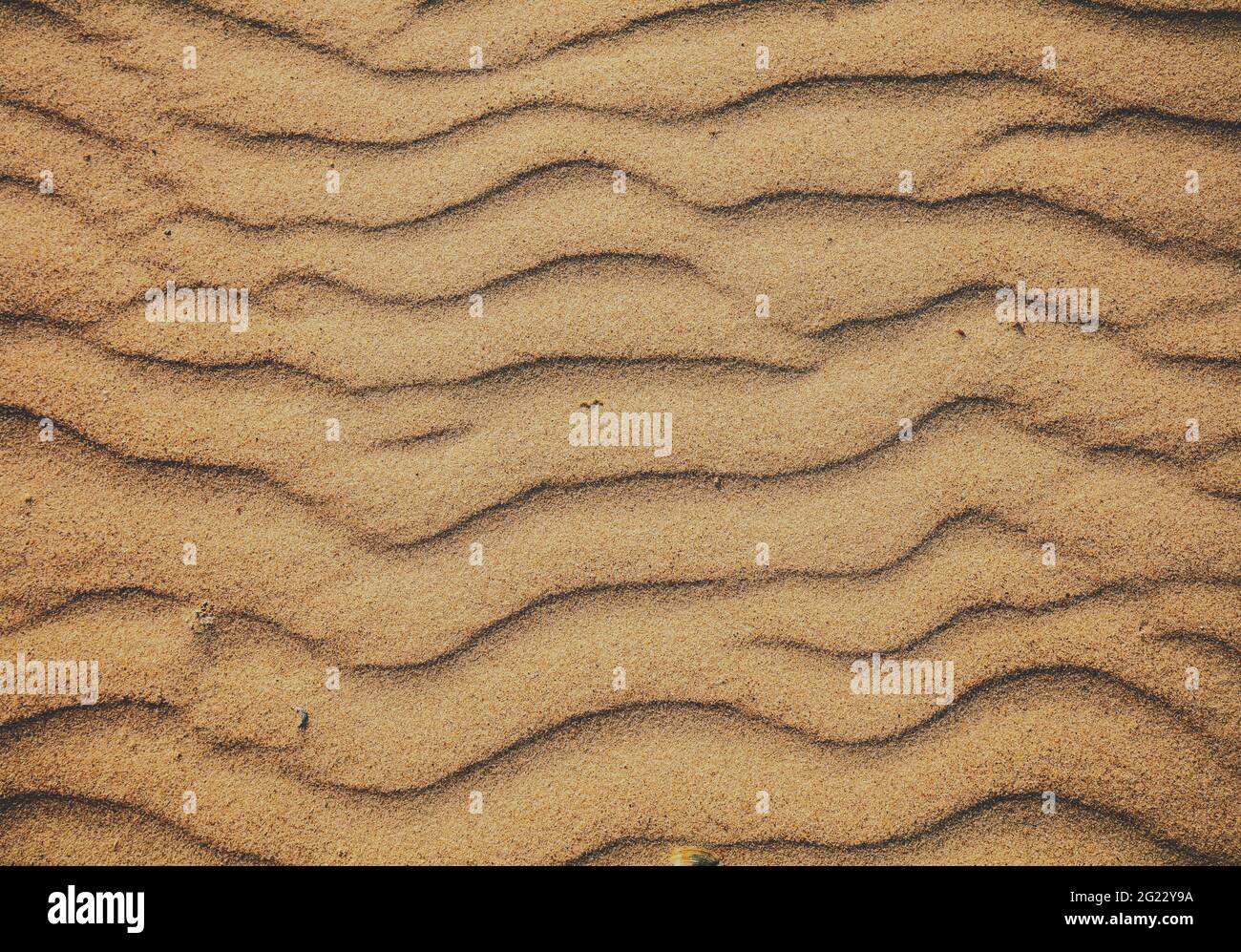 Abstract wavy sandy background. The sand texture on the beach Stock ...