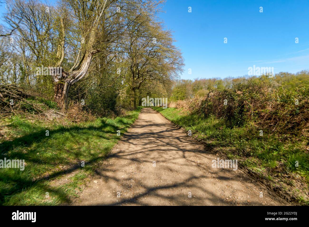 A section of the Hertfordshire Chain Walk, near Tewin Stock Photo - Alamy