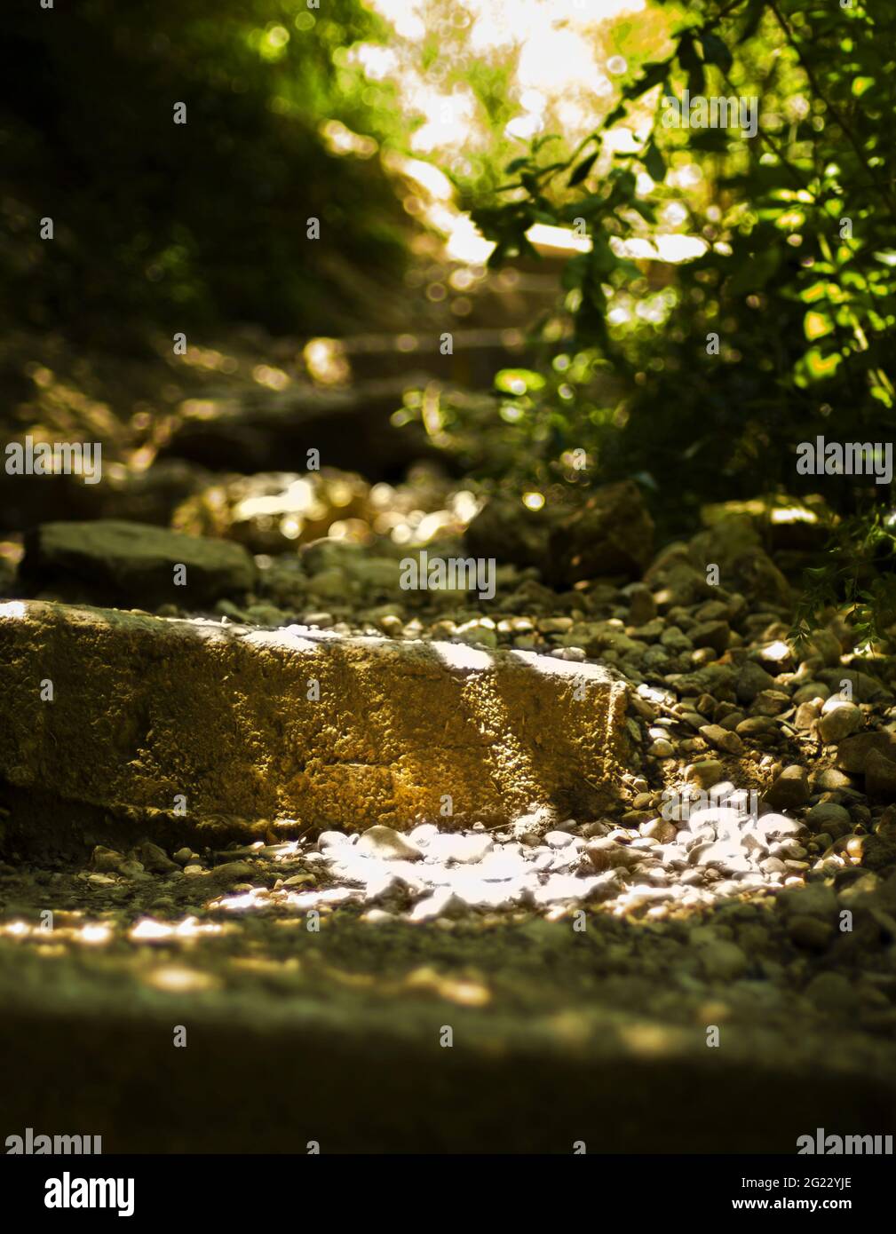 Ray of light on stone stair located on te path inside the forest to the ...