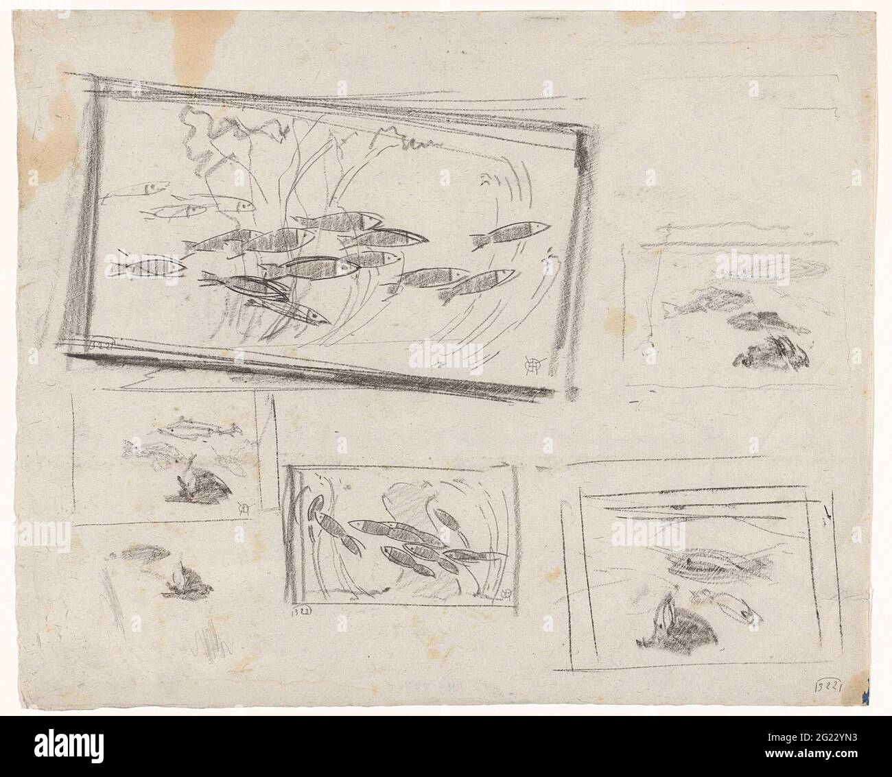 Composition studies of fish in an aquarium Stock Photo - Alamy