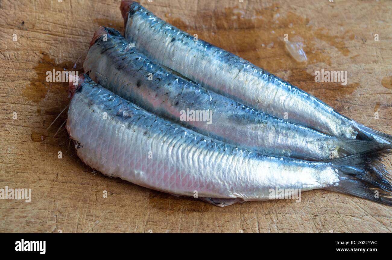 Three fresh Sardines on a wooden board, close-up, sardines isolated ...