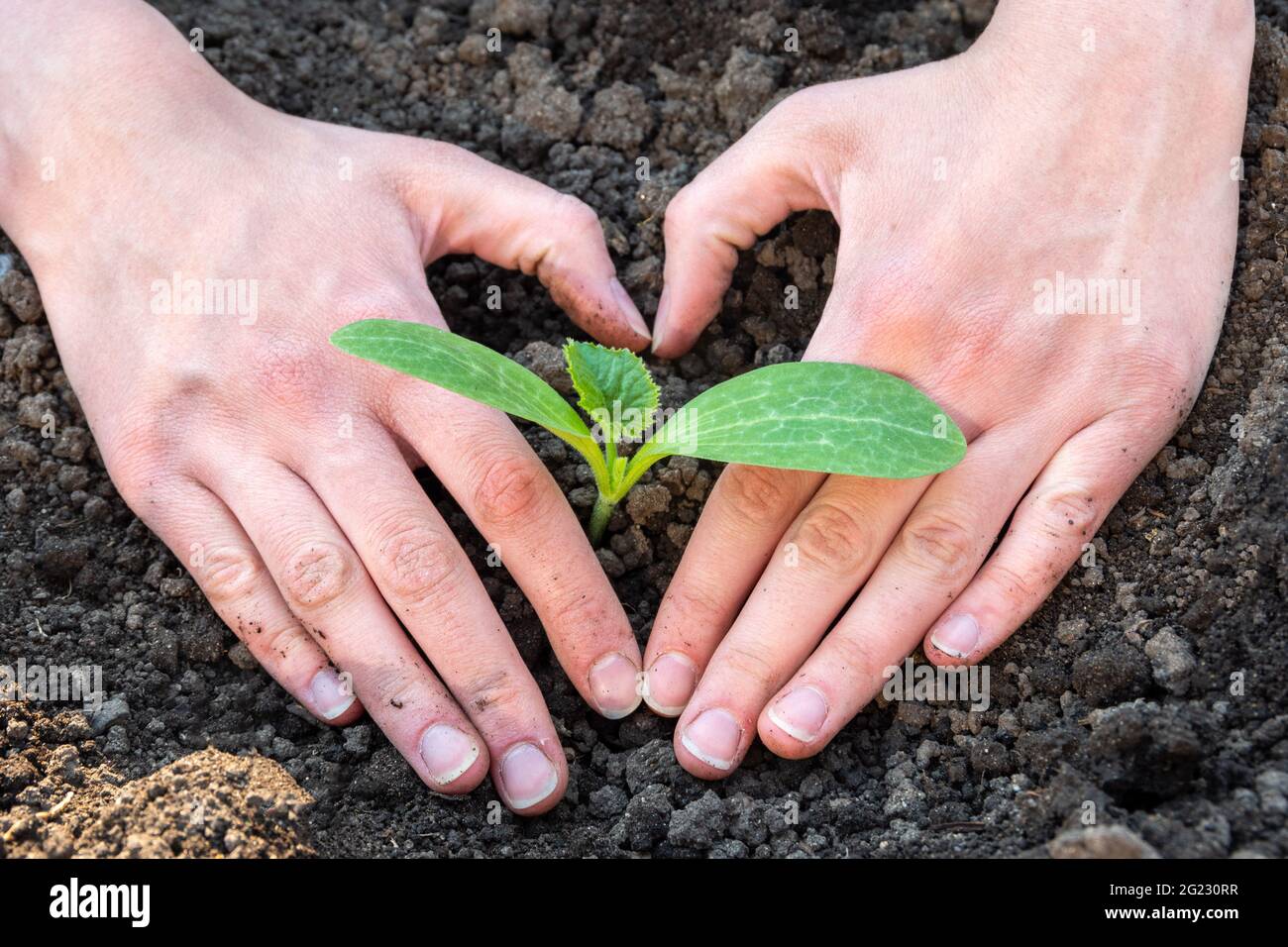 World soil day hi-res stock photography and images - Alamy