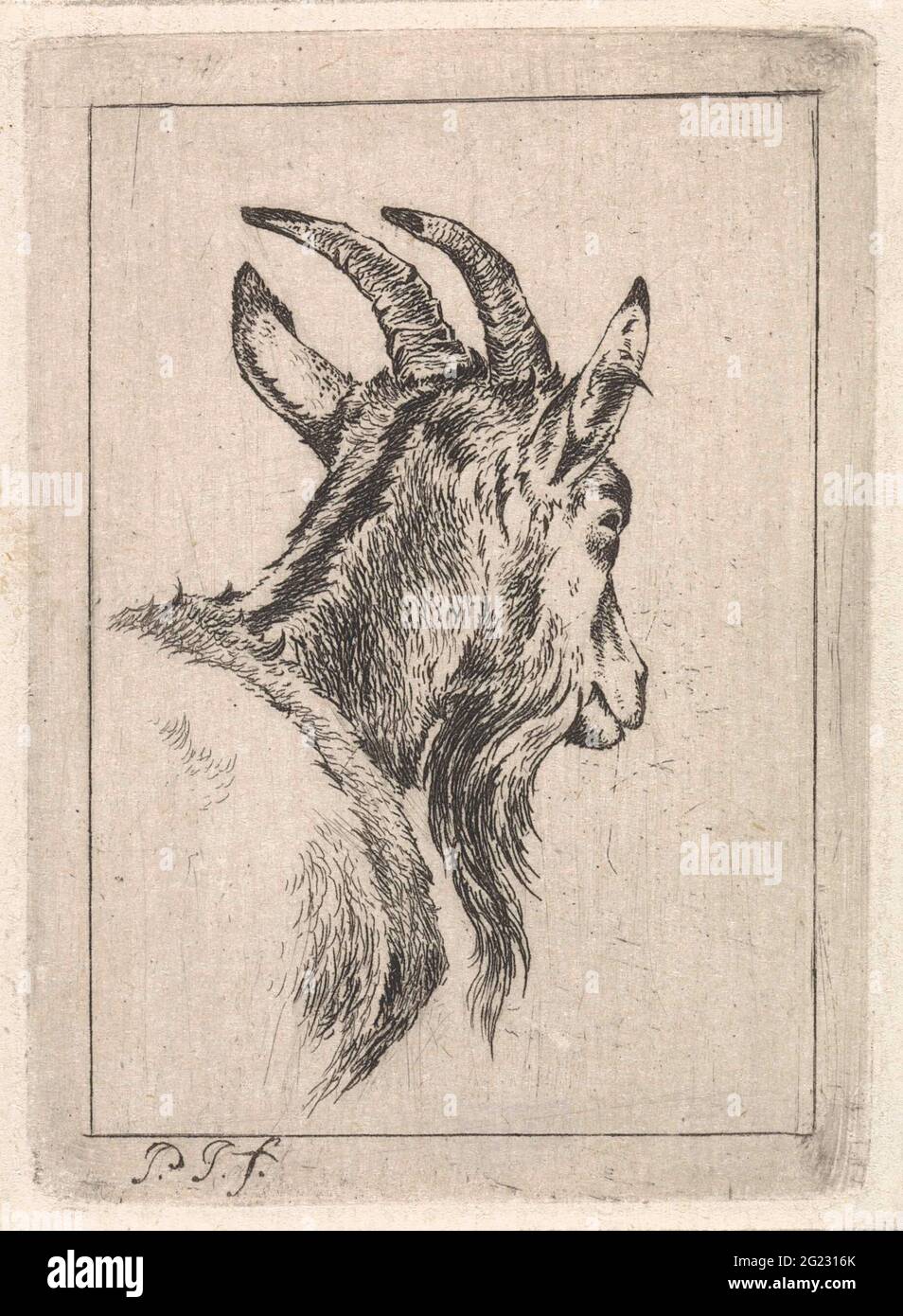 Boofing cup. Head from a go to the right, seen from behind. Print of ...