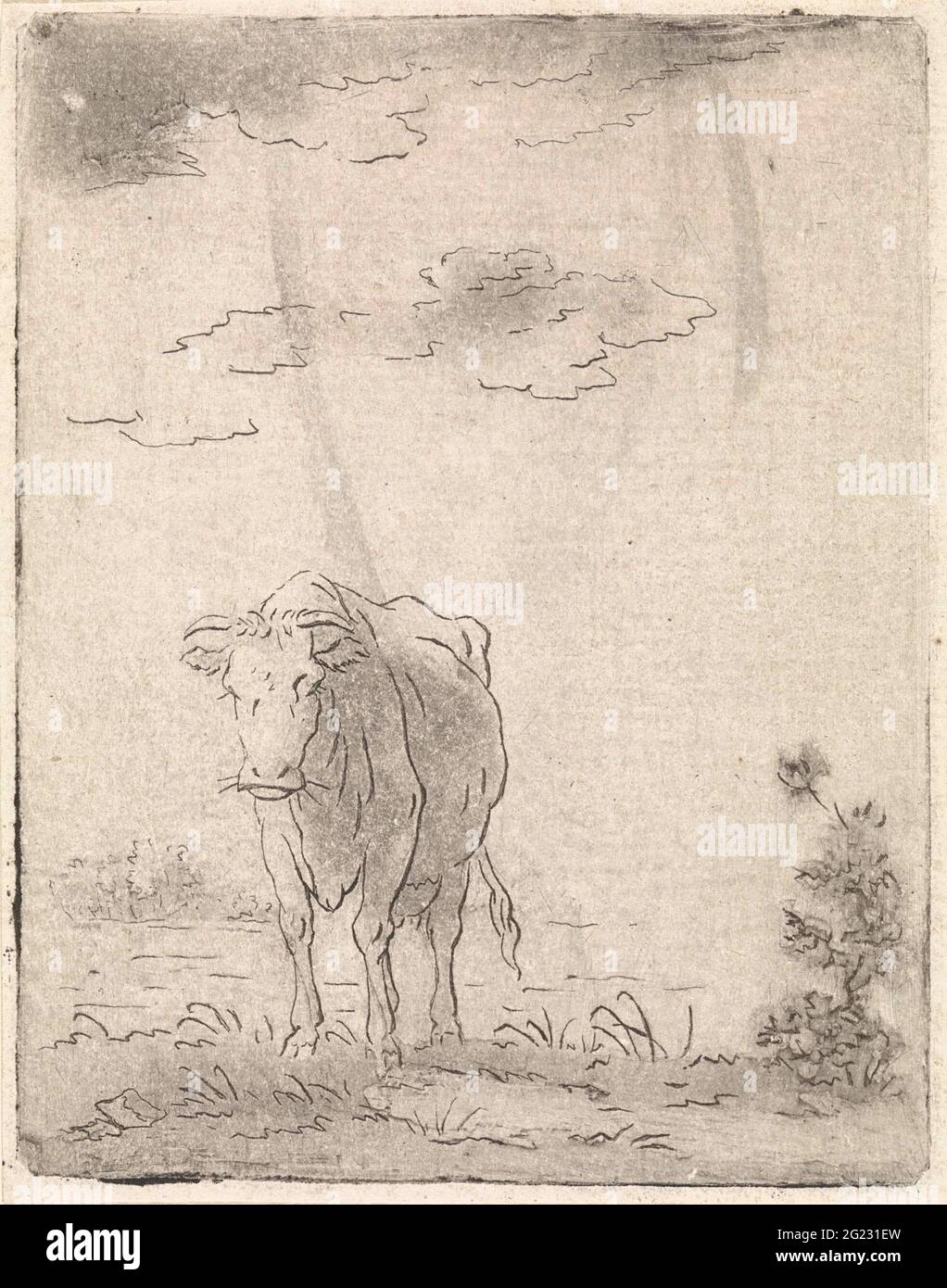 Landscape with cow. Landscape with cow, from the front. On the right in ...