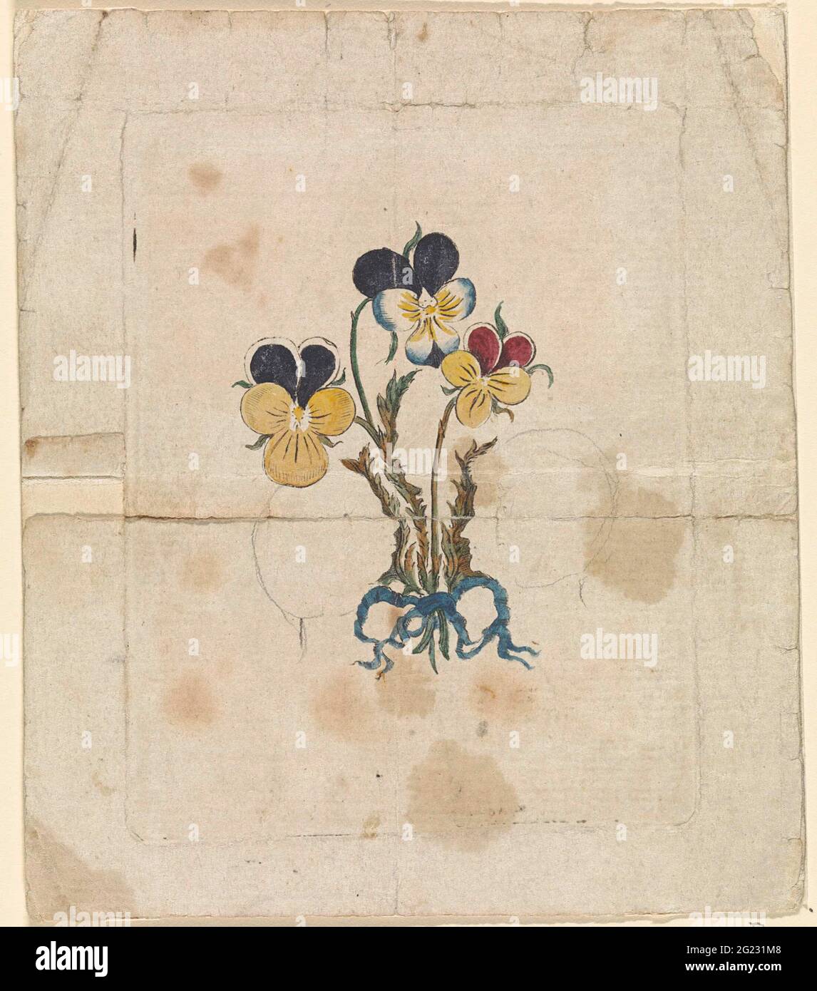 Three violets with silhouette portraits of Willem V, Prince of Oranje ...