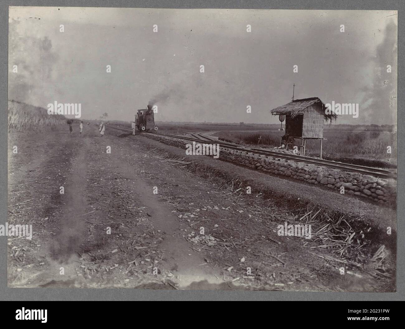 Steam locomotive sugar cane train hi-res stock photography and images ...
