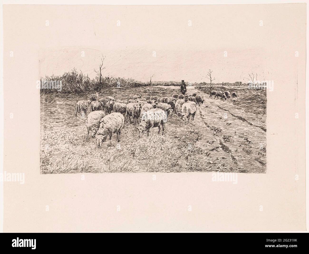 Shepherd with herd of sheep. A shepherd with his herd of sheep on the ...