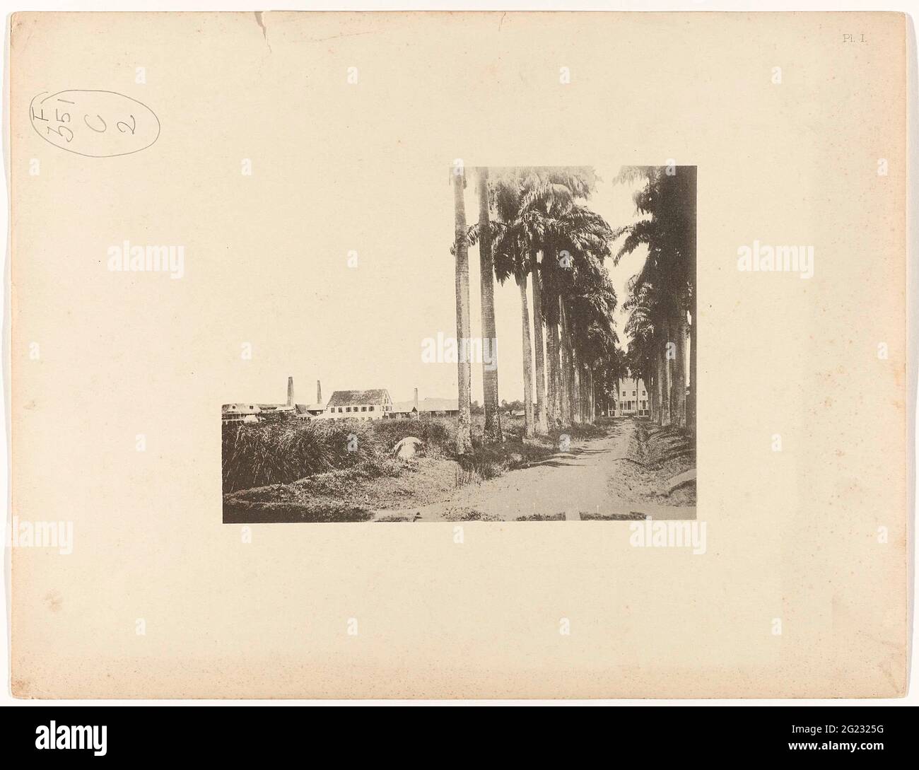 Country road and farm from Rosenburg (?), Suriname; Colony Suriname ...