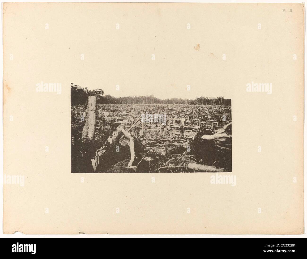 Agricultural terrain, Suriname; Colony Suriname images concerning ...