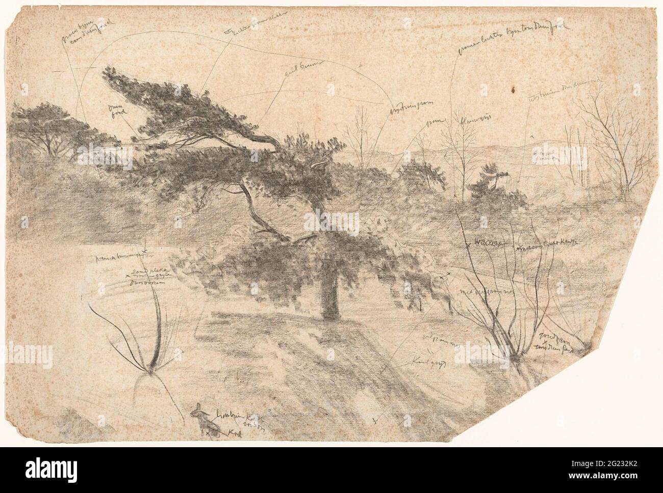 Old den in the open space, with color notes Stock Photo - Alamy