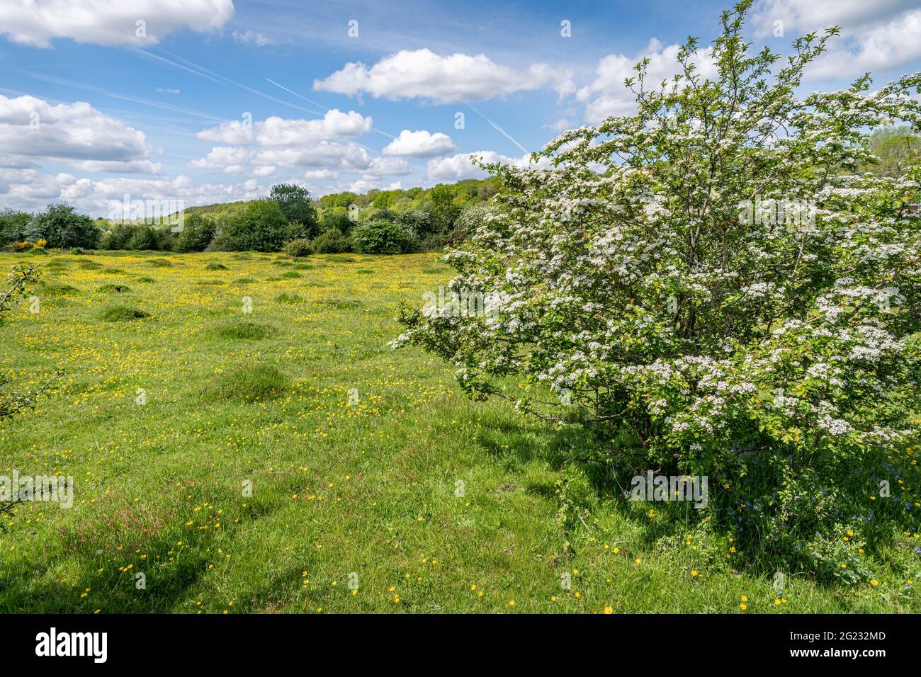 Rickmansworth park hi-res stock photography and images - Alamy
