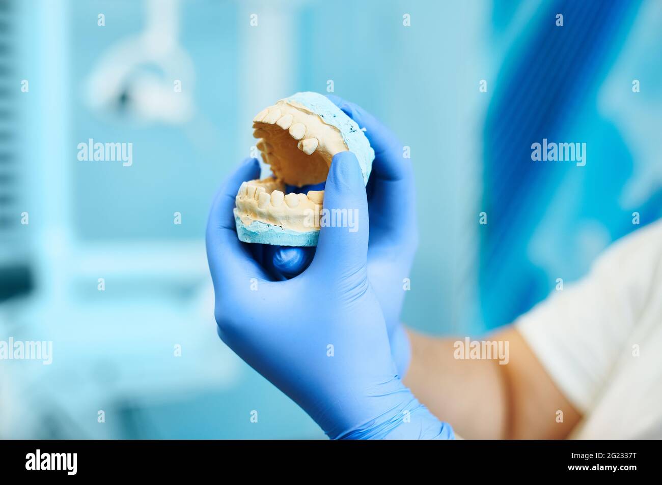 Dentist holding an individual plaster dental jaw cast Stock Photo - Alamy