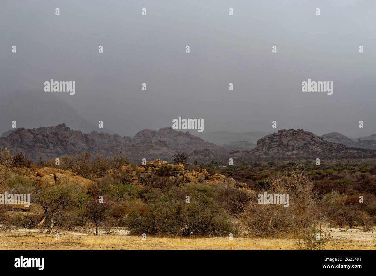 Guest farm Omandumba near Omaruru: Rain in the Erongo Mountains, Erongo ...