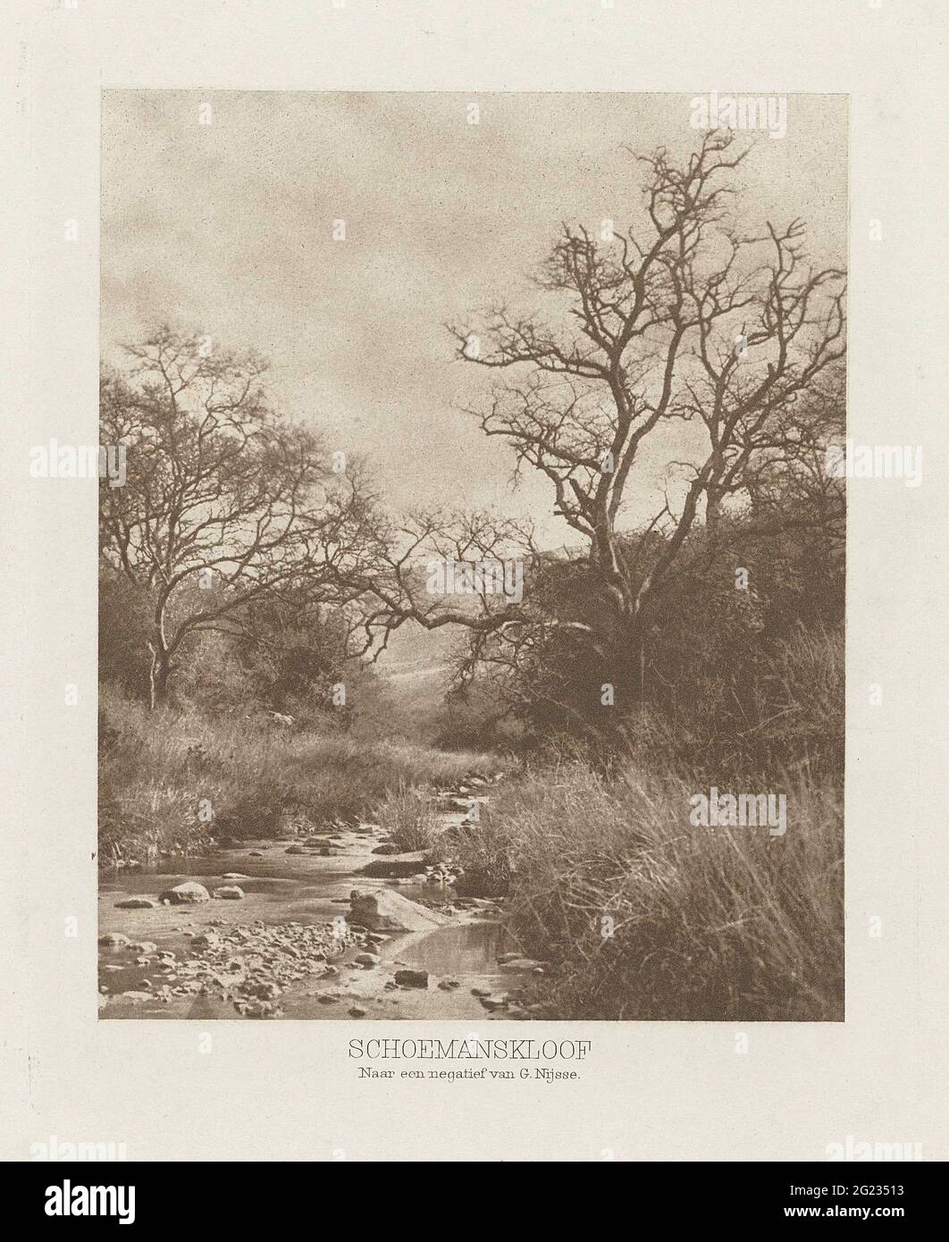 Twelve heliogravures hi-res stock photography and images - Alamy