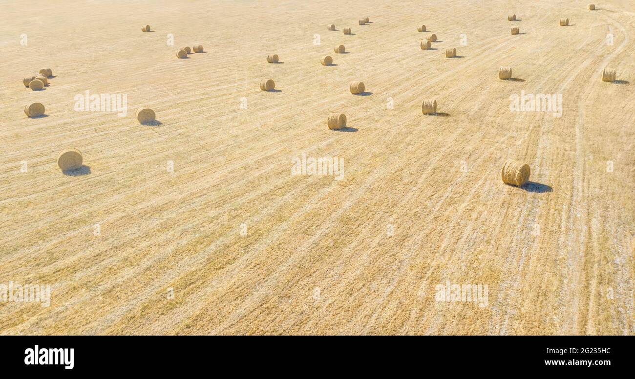 Hay pattern hi-res stock photography and images - Alamy