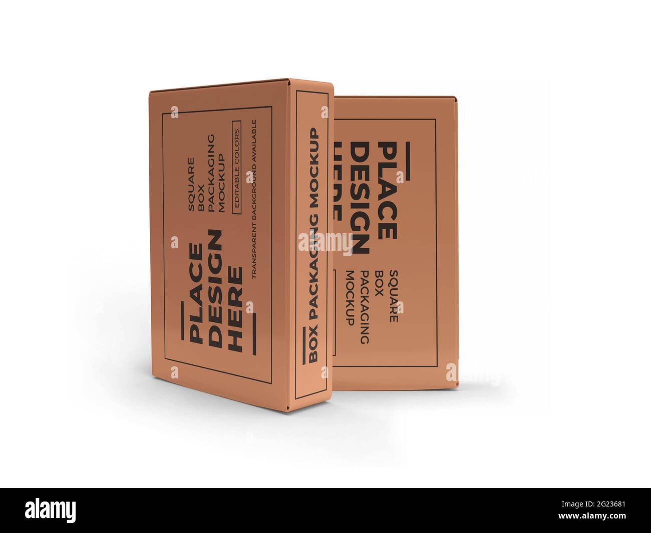 Rectangular Box Packaging 3D Illustration Mockup Scene on Isolated ...