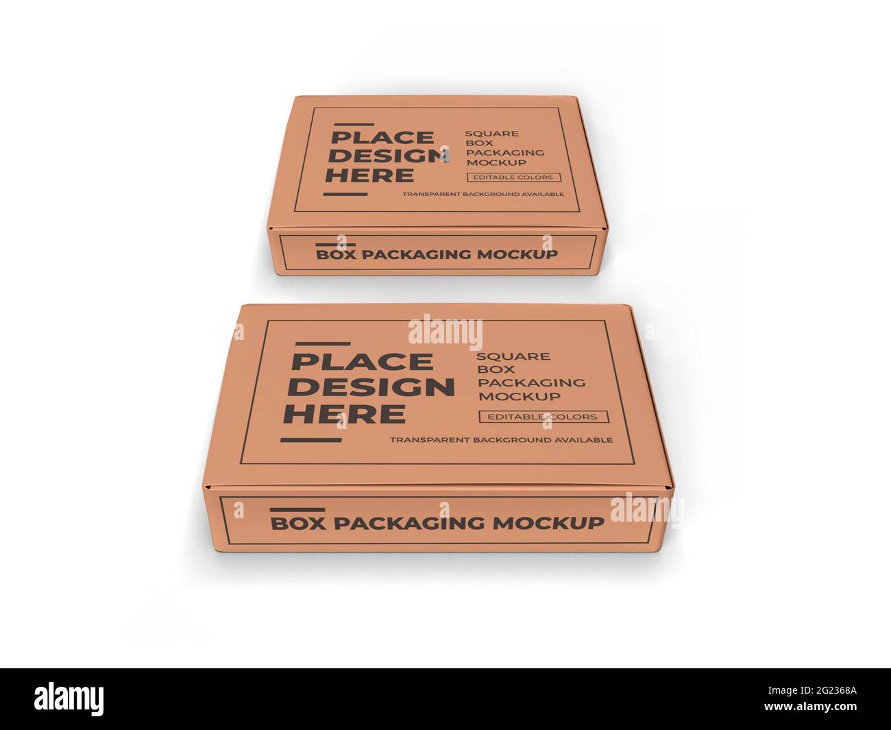 Rectangular Box Packaging 3D Illustration Mockup Scene on Isolated ...