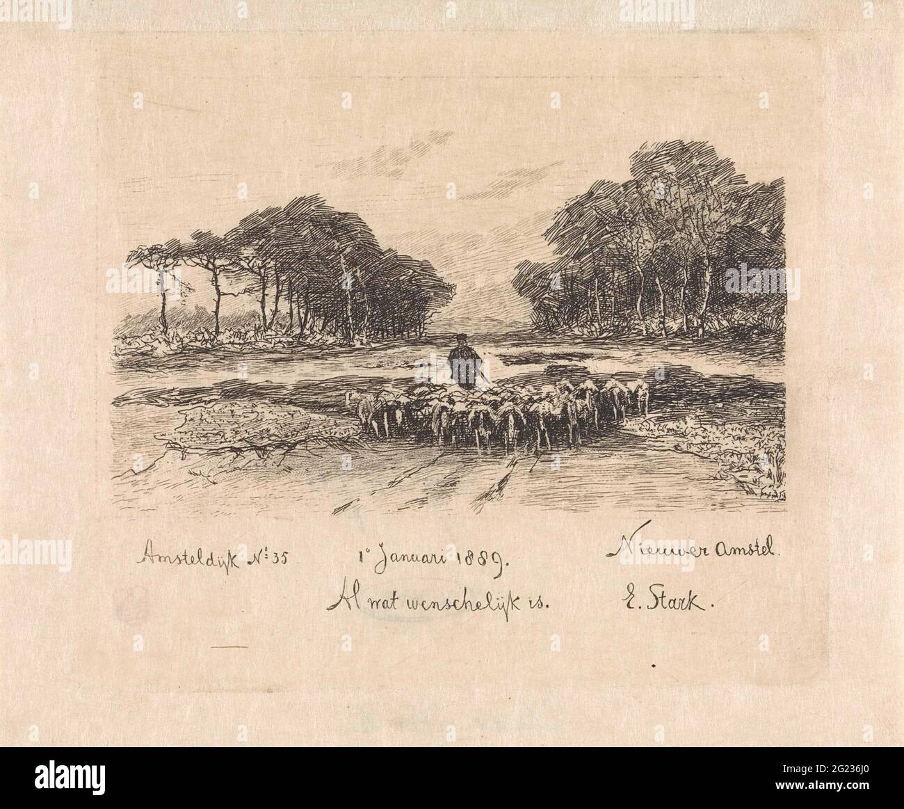 Sheep herd on the heath. A shepherd with his sheep, seen on the back ...