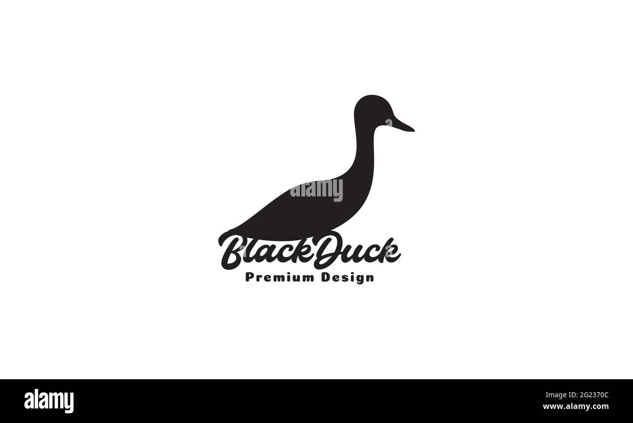 Waterfowl duck animal head vector illustration Stock Vector Images - Alamy