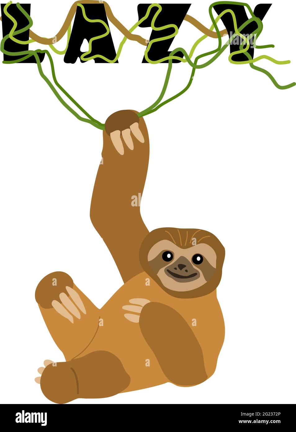 Australian sloth hi-res stock photography and images - Alamy