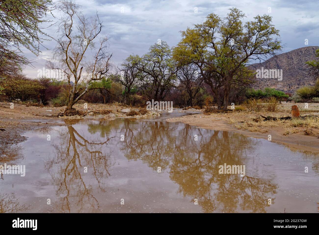 Farm Omandumba-Ost in the Erongo mountains: River in rainy season, near ...