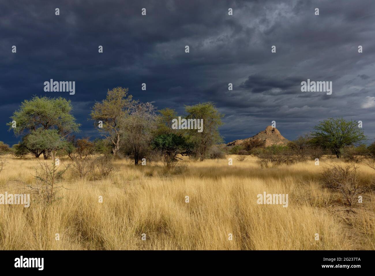 Rain clouds above Omaruru peak near Omaruru, farmland in rainy season ...