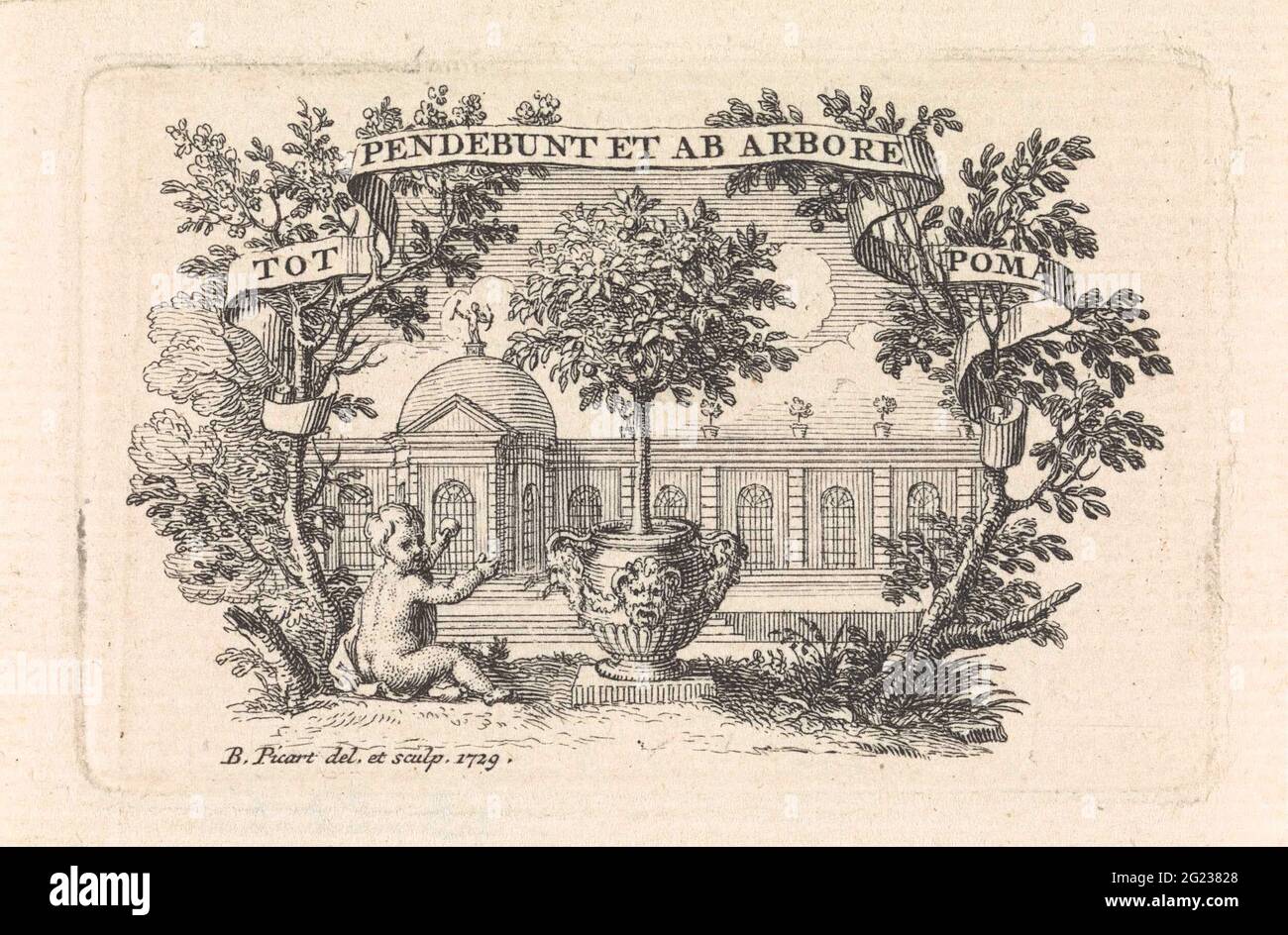 Putto with orange tree. A putto points with an orange in hand on an ...