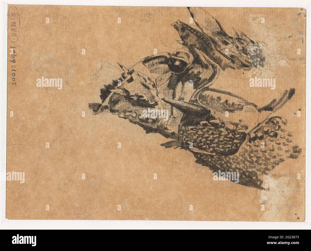 Cup of an iguana Stock Photo - Alamy