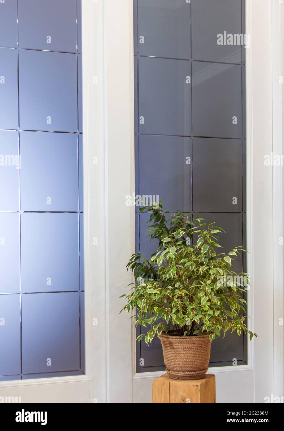 One kinds of potted plants in jute pots in a bright room Copy space ...